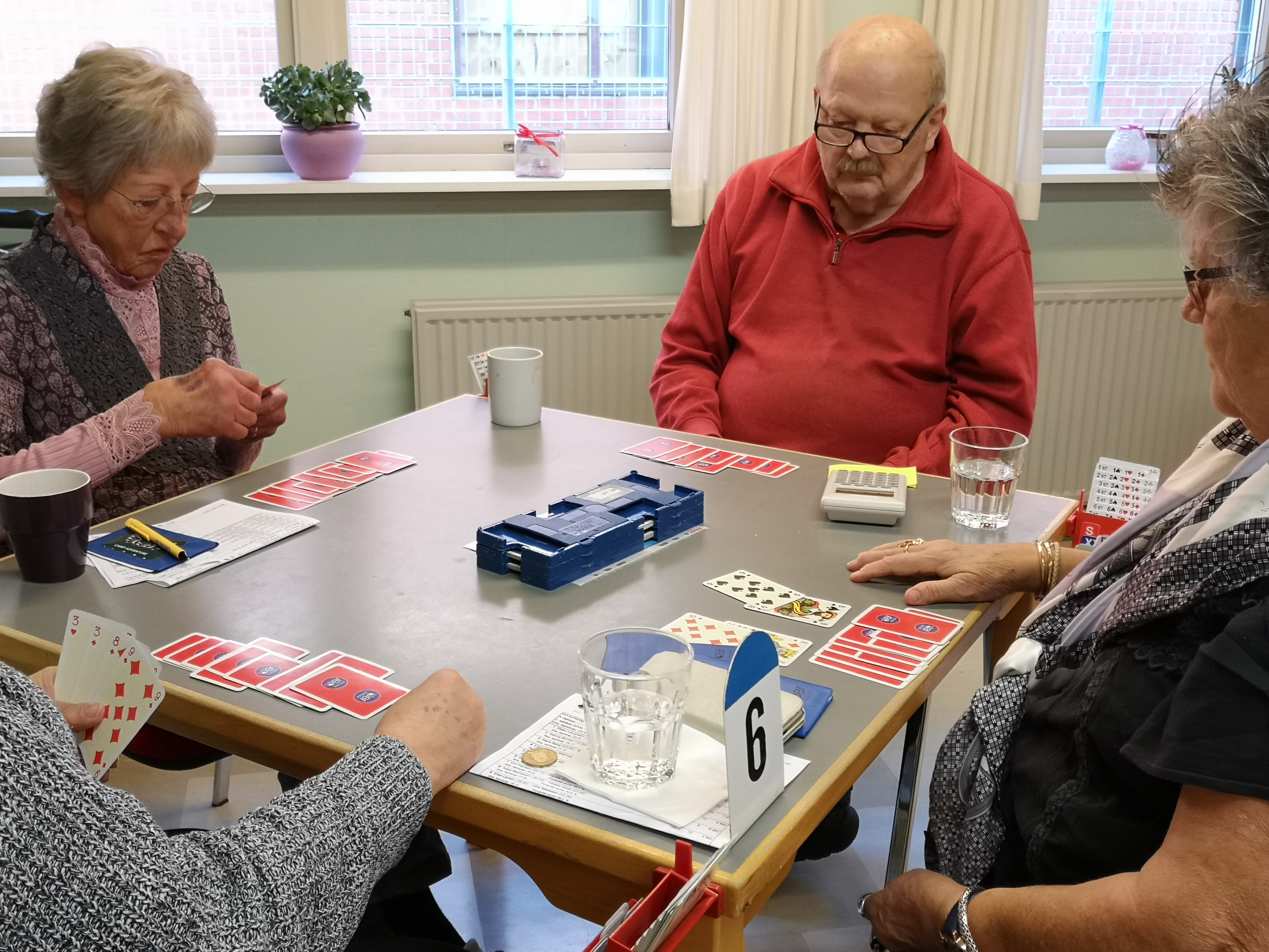 Hvem spiller bridge?